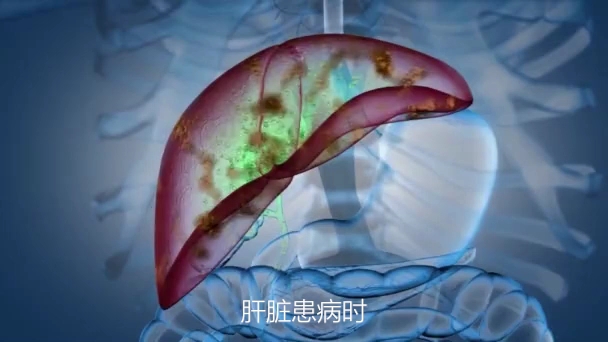 【齐博医疗 专注生命质量管理】肠道微生物量占人体总微生物量的...