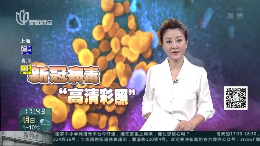 肆虐的新冠病毒究竟长啥样?美国科学家用一组彩照揭开它的真面目