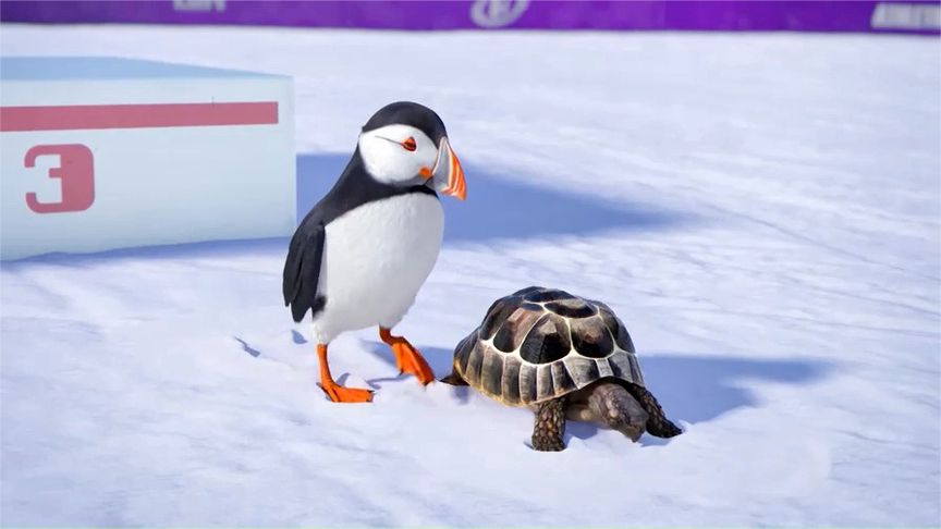 爆笑动物运动会 绝佳组合