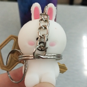 酸酸甜甜灬小辣椒 