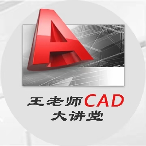 老王CAD教学 