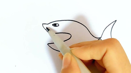 大鲨鱼怎么画?创意简笔画,儿童画,少儿创意美术,鲨鱼简笔画