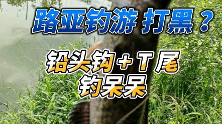 广州周边野水路亚打黑钓呆呆之旅～2021.05 #路亚 #路亚黑鱼 #黑鱼