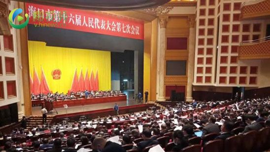 椰视频|海口市十六届人大七次会议开幕,听听代表怎么说