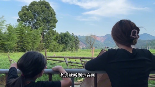 农村宝妈每天要去牛棚巡逻几次,两娃帮忙干好多活,晚上加鸡腿!