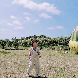 粘土油油 
