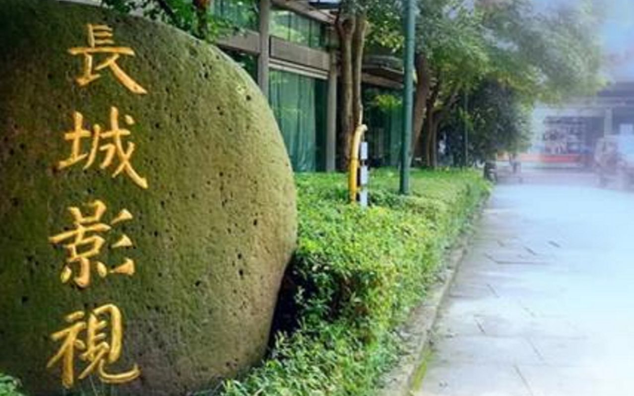 挪用公司公章给控股股东担保贷款,这家影视公司被立案调查!