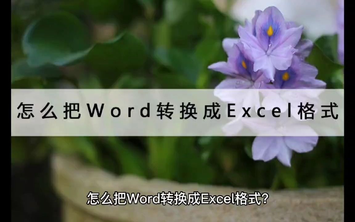 怎么把Word转换成Excel格式?这个方法居然能转!