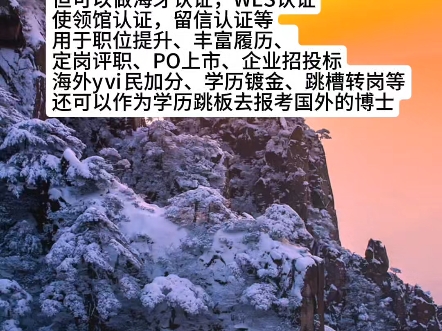 水硕真的也很有用在线硕士毕业后虽然不能做留服认证但可以做海牙...