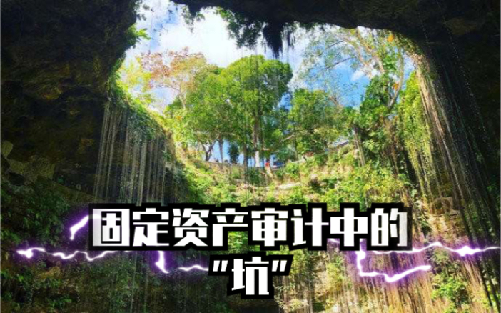 【四姑妈】姑妈的四大会计师事务所-固定资产审计中的“坑”