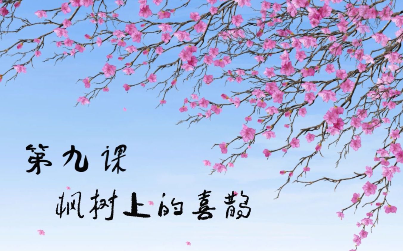 课文朗诵 枫树上的喜鹊
