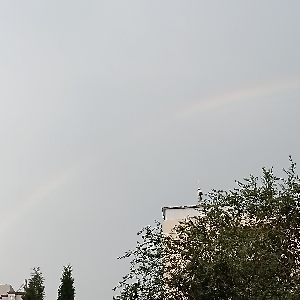 潇洒小飒 