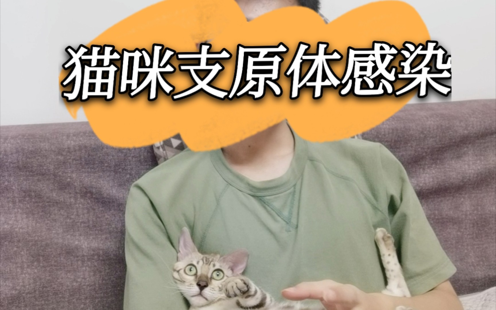 猫咪感染支原体怎么治疗?