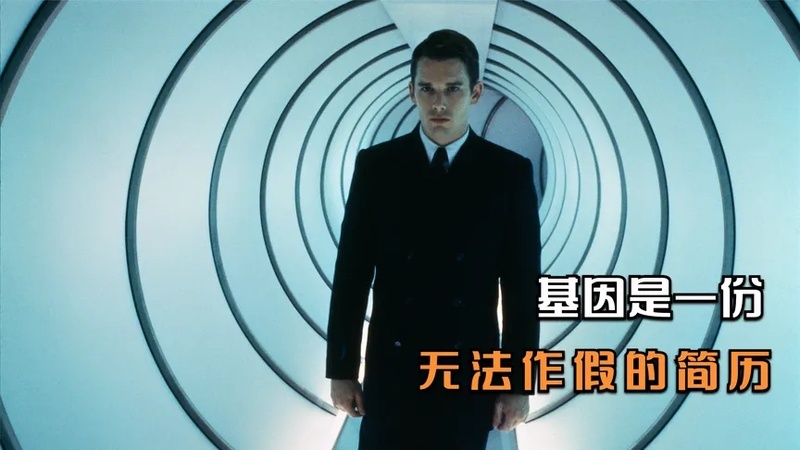 在未来世界 ,基因把人类分成三六九等,人被划分等级 13