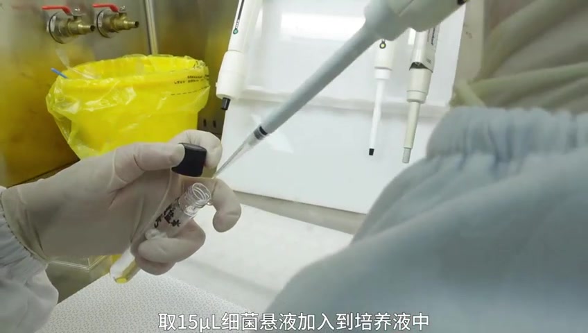 B族链球菌药敏实验