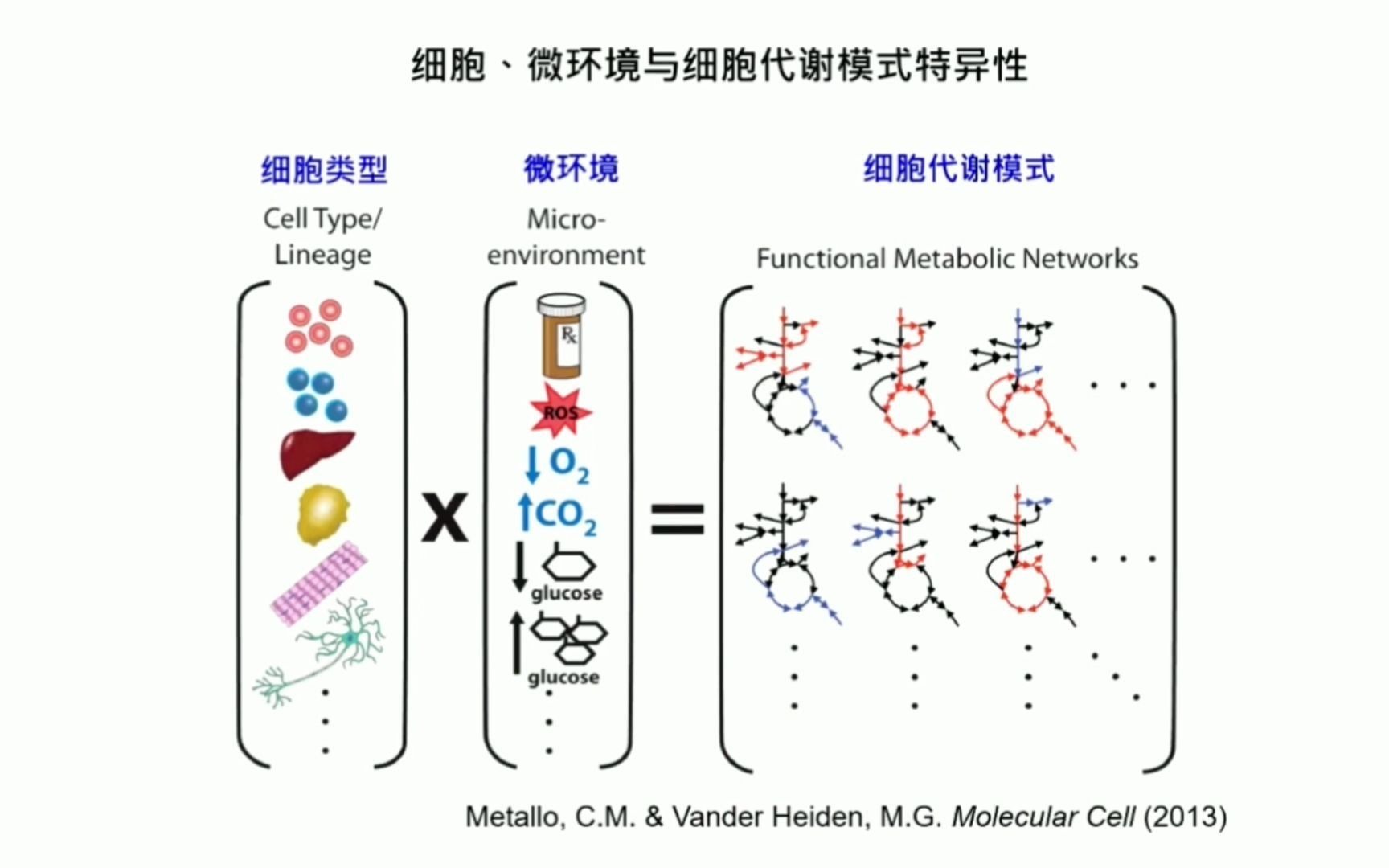 20210521绘谱学堂第3期-代谢流分析在生物医学中的应用-张晖