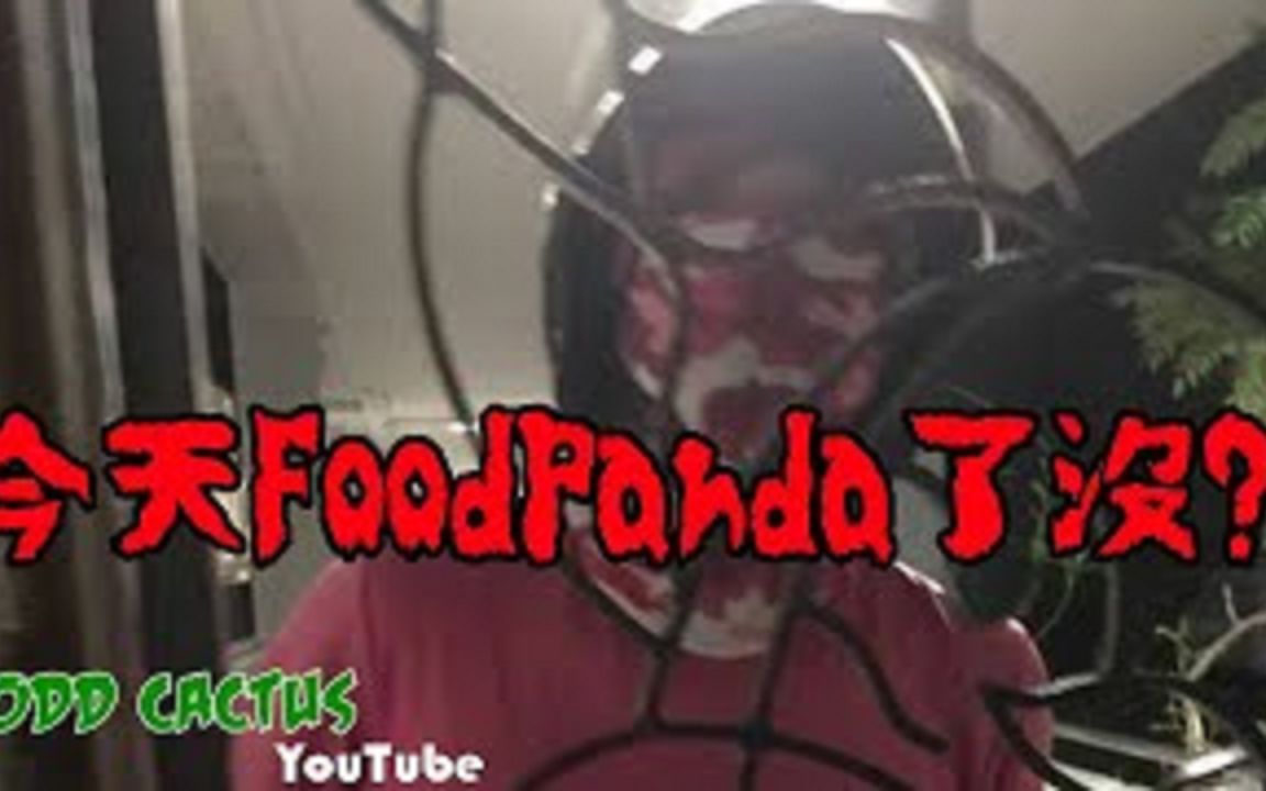 叫外卖发生的恐怖真实事件,你FoodPanda了吗?奇怪的仙人掌
