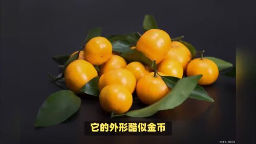 金钱桔子的功效与作用