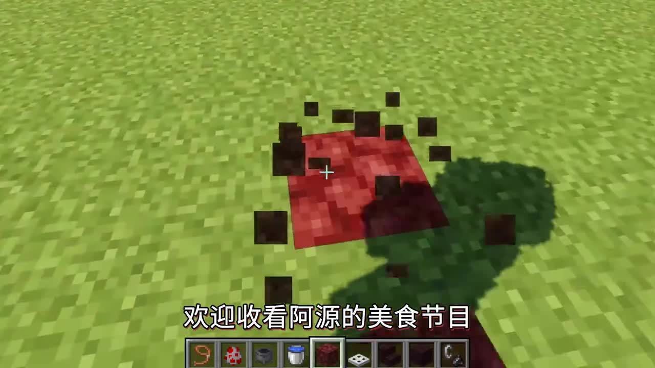 我的世界# od动物烤熟竟然还会动?瞬间食欲大减!