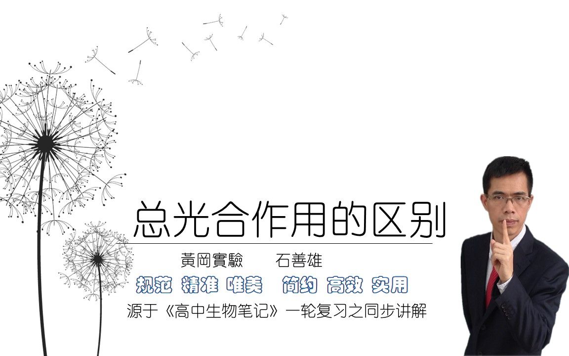 25.9总光合作用的区别