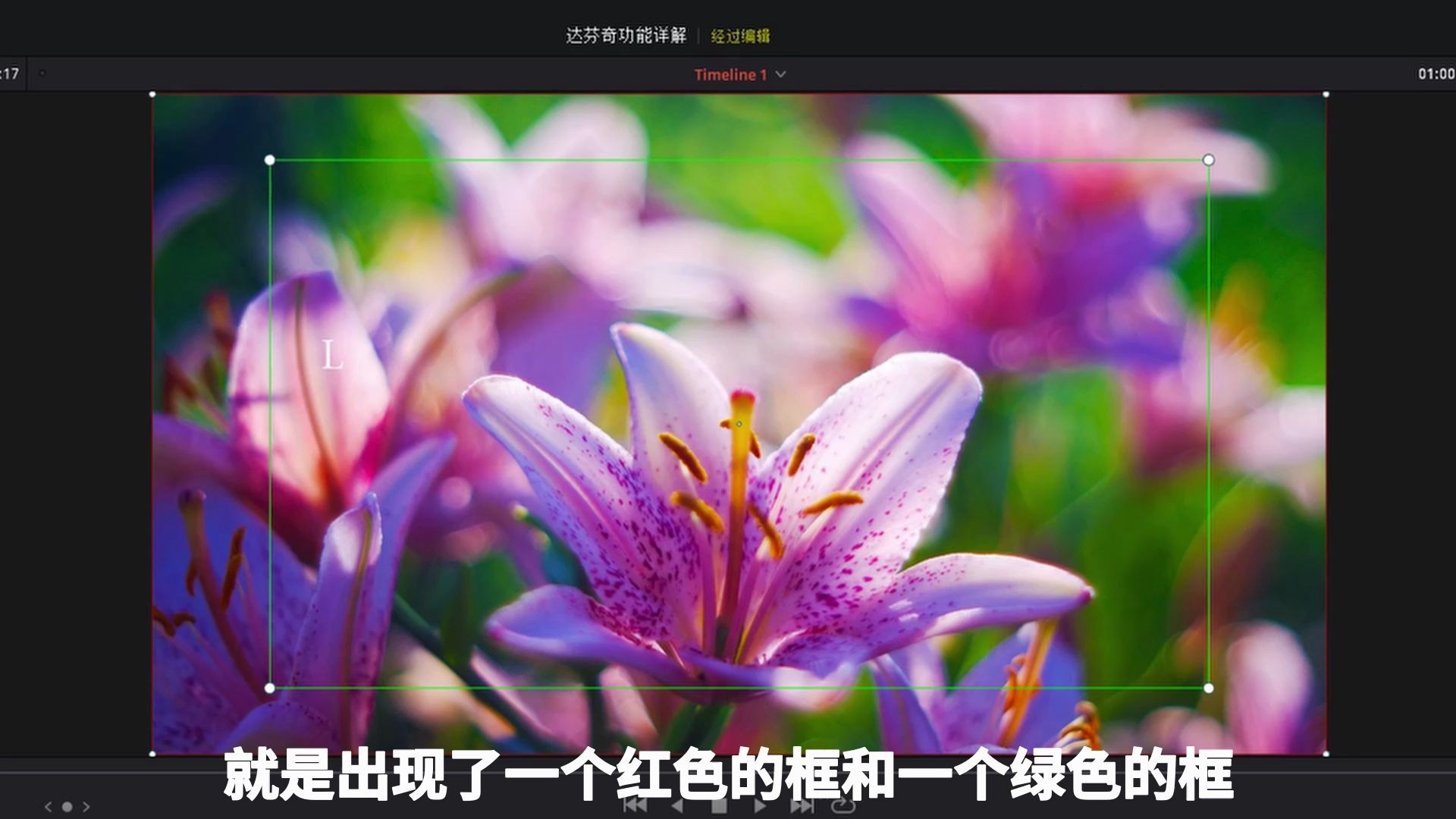 达芬奇如何制作预设,达芬奇动态缩放 调整片段 共享媒体夹怎么用