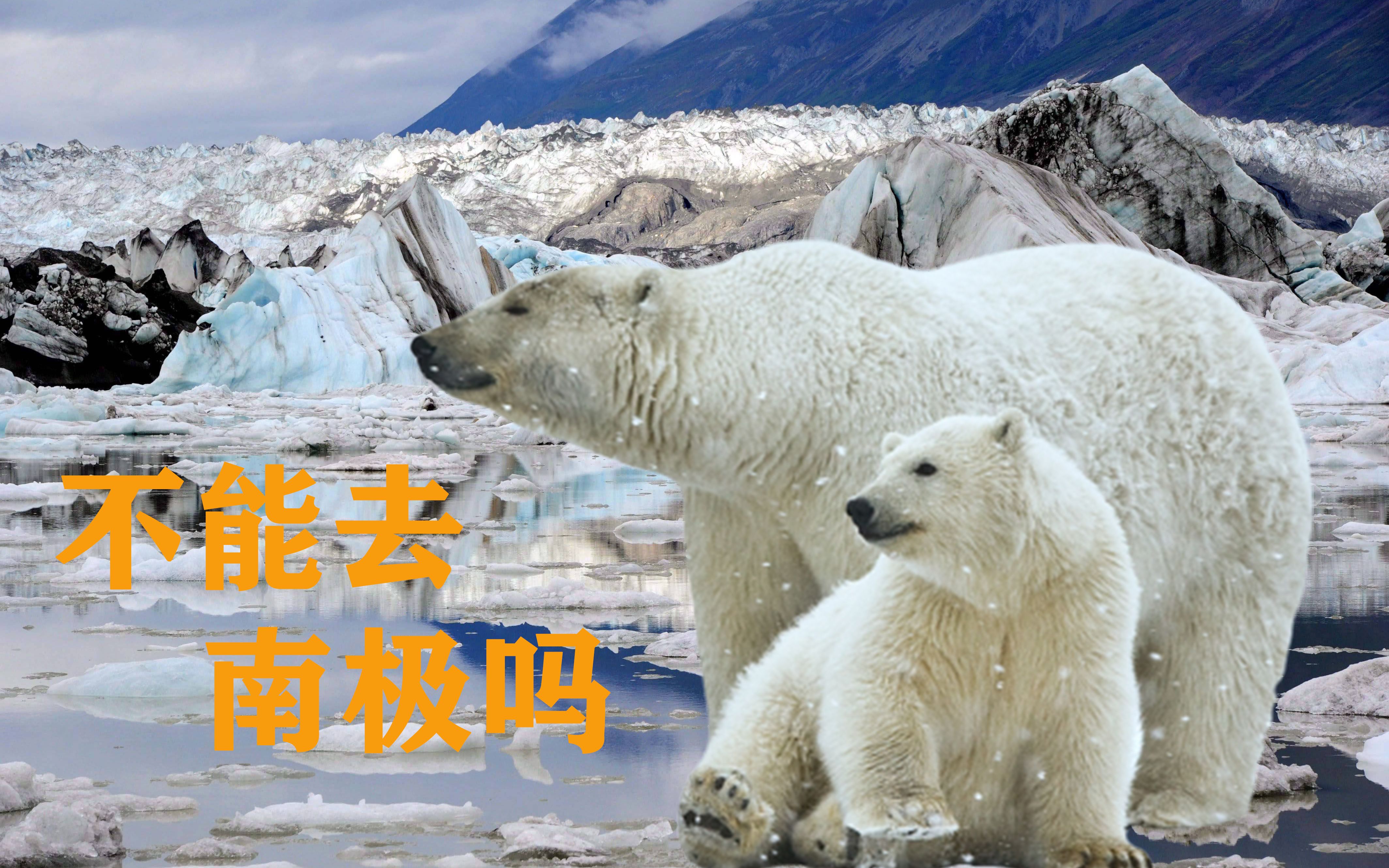 冰川融化,北极熊生存困难,为什么不能把北极熊送到南极去?