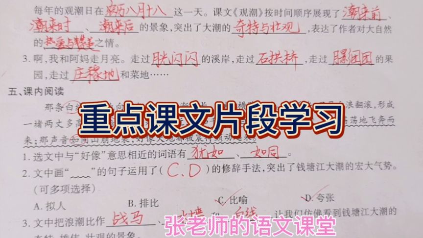 四年级上第一单元重点知识讲解,文中把浪潮比作什么,有什么作用