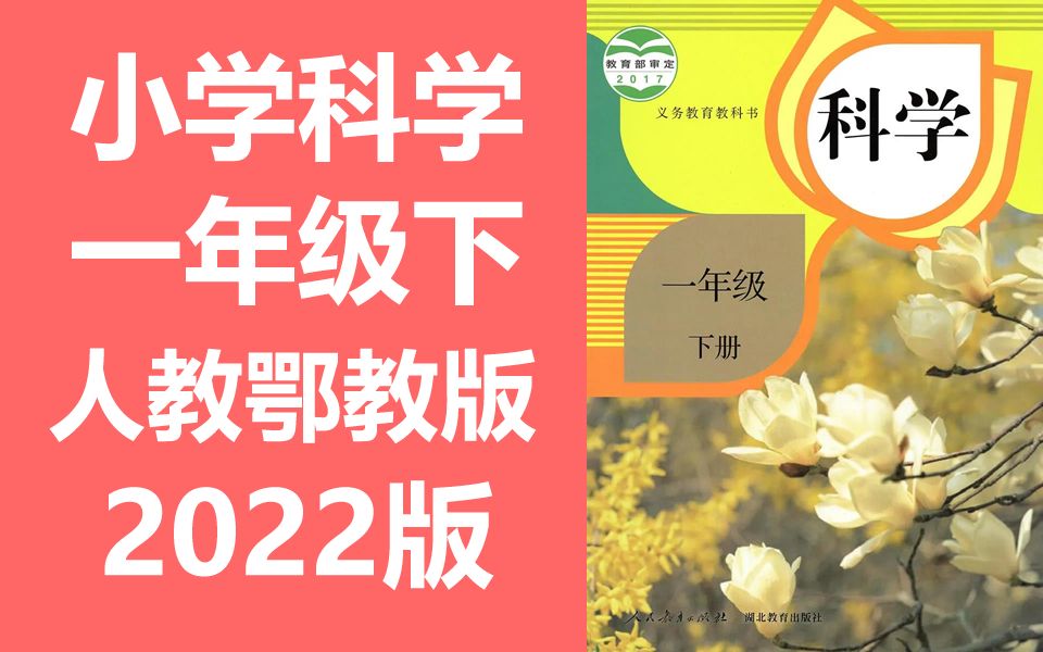 小学科学一年级下册科学 人教鄂教版 2021新版 小学科学1年级下册...