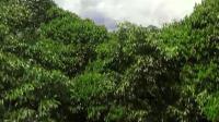 教师盒子-A游戏教学法在小学英语课堂中的应用【Worth seeing】
