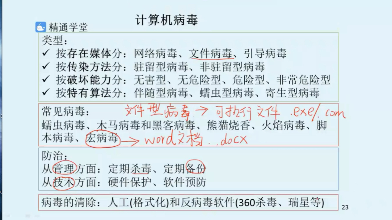 山东专升本计算机