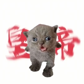 俺是猫老大 