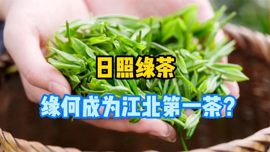 “江北第一茶”的日照绿茶咋样?日照种茶历史揭秘,听老茶客咋说