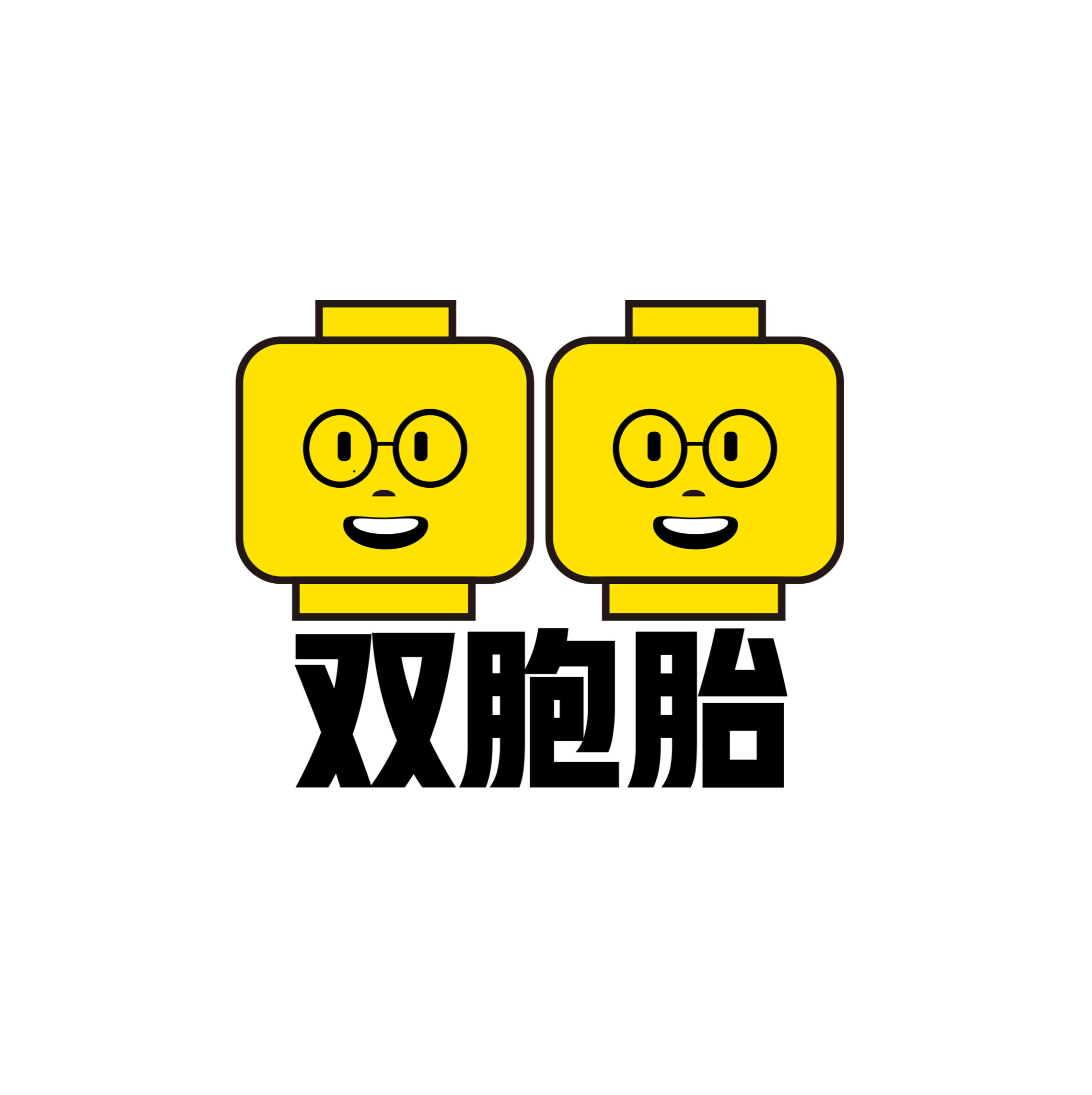 LEGO双胞胎 