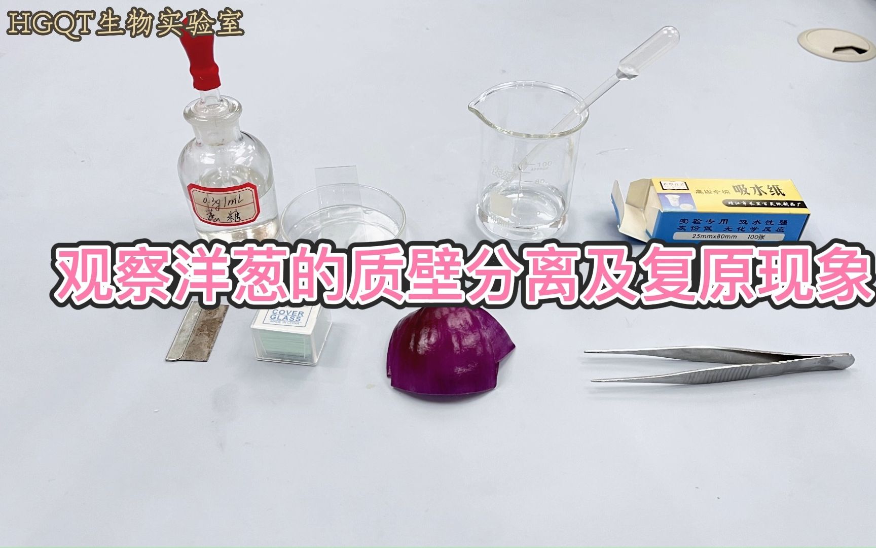 小老师xxw | 洋葱质壁分离与复原实验