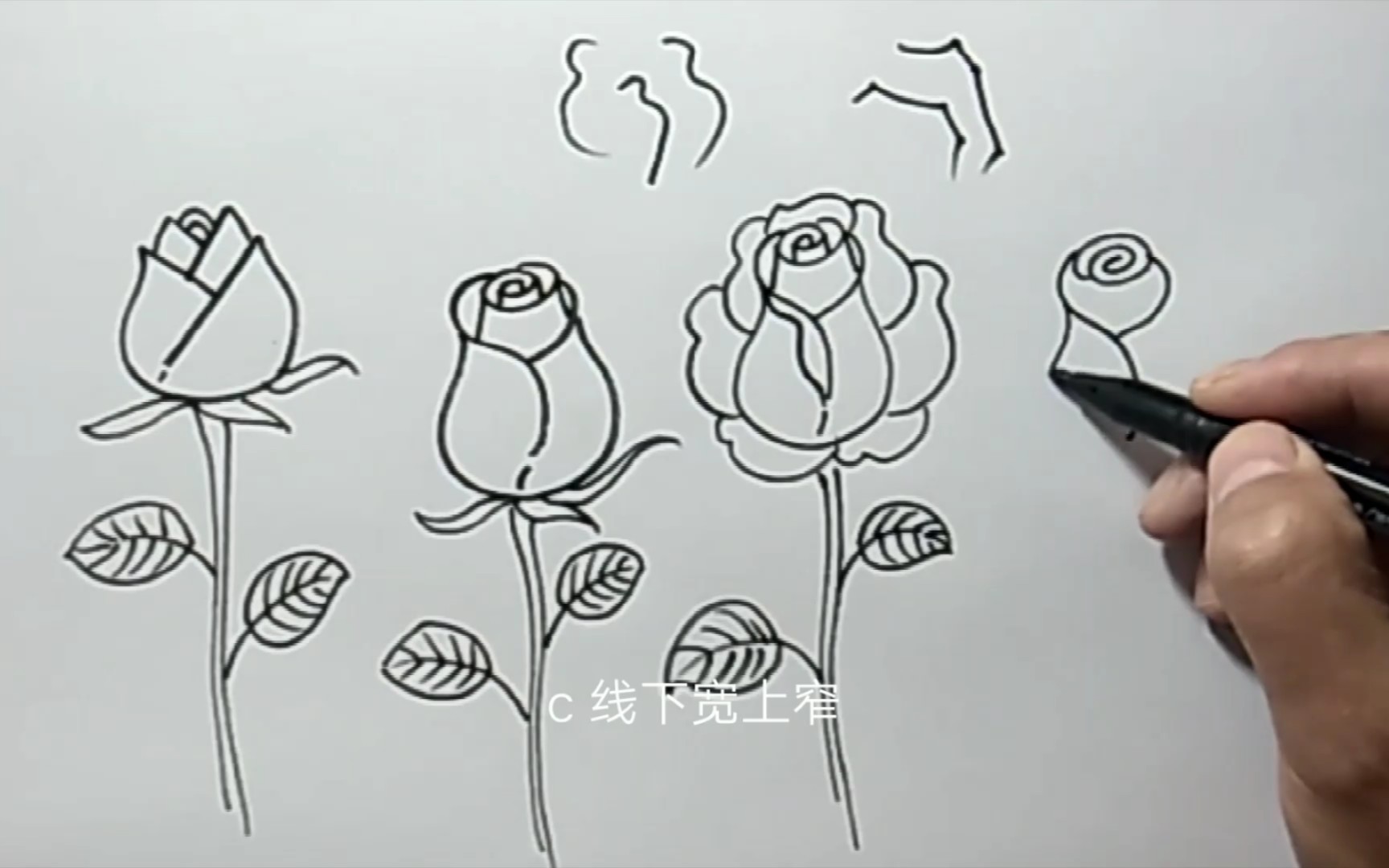 最好画,最好看的玫瑰花画法,让人心动