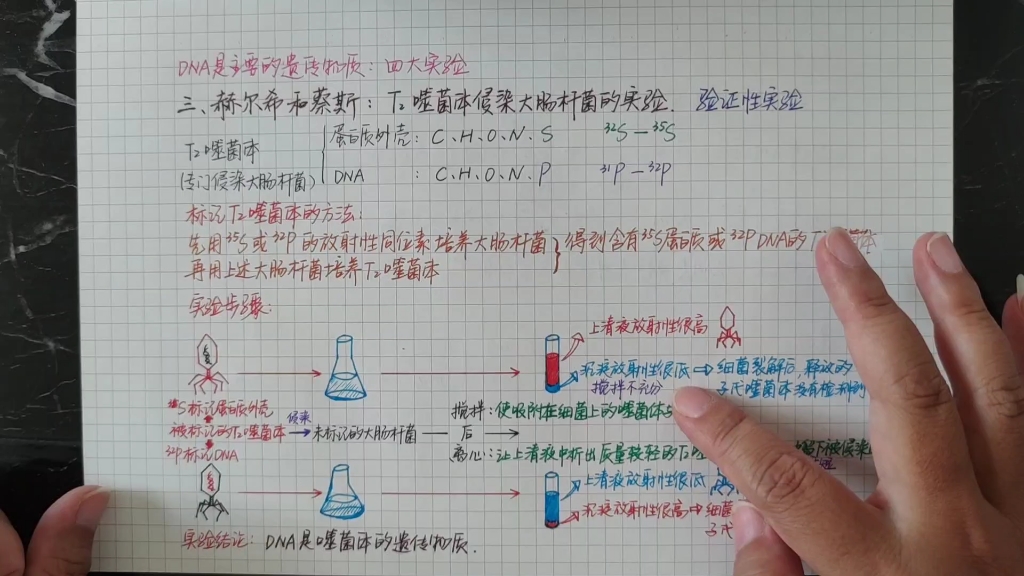 赫尔希蔡斯T2噬菌体侵染大肠杆菌的实验