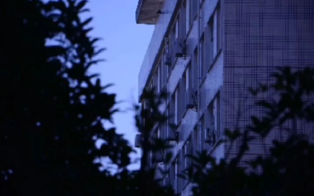 [华清中学摄影社]11.1-11.30-从初秋到冬至 从叶落到初雪