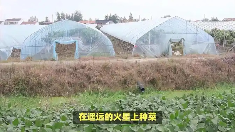 菜博会上的火星农业VR:一场关于未来种植的奇幻之旅