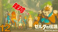 塞尔达传说 荒野之息★#12塞尔达公主原来是个辣鸡!