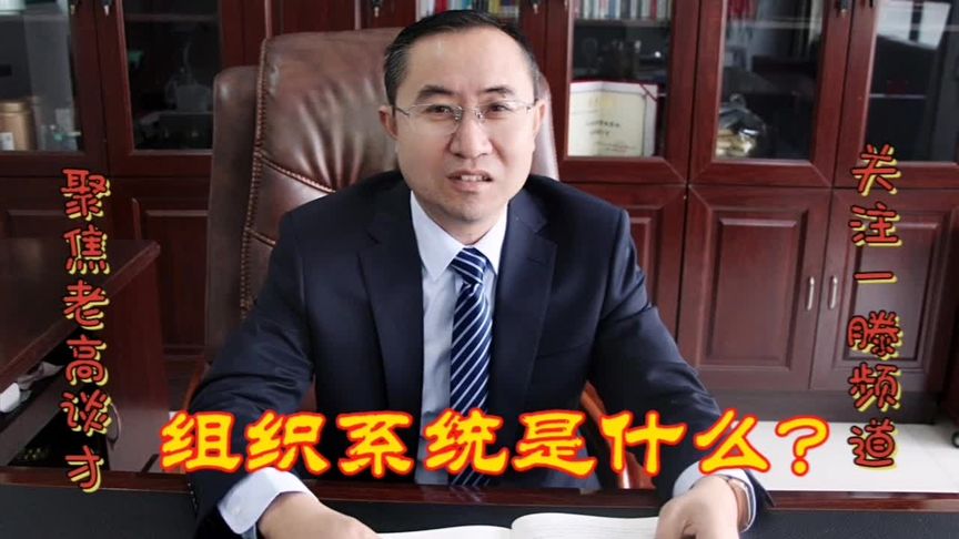 组织系统是什么?