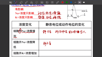 钠离子浓度对动作电位的影响