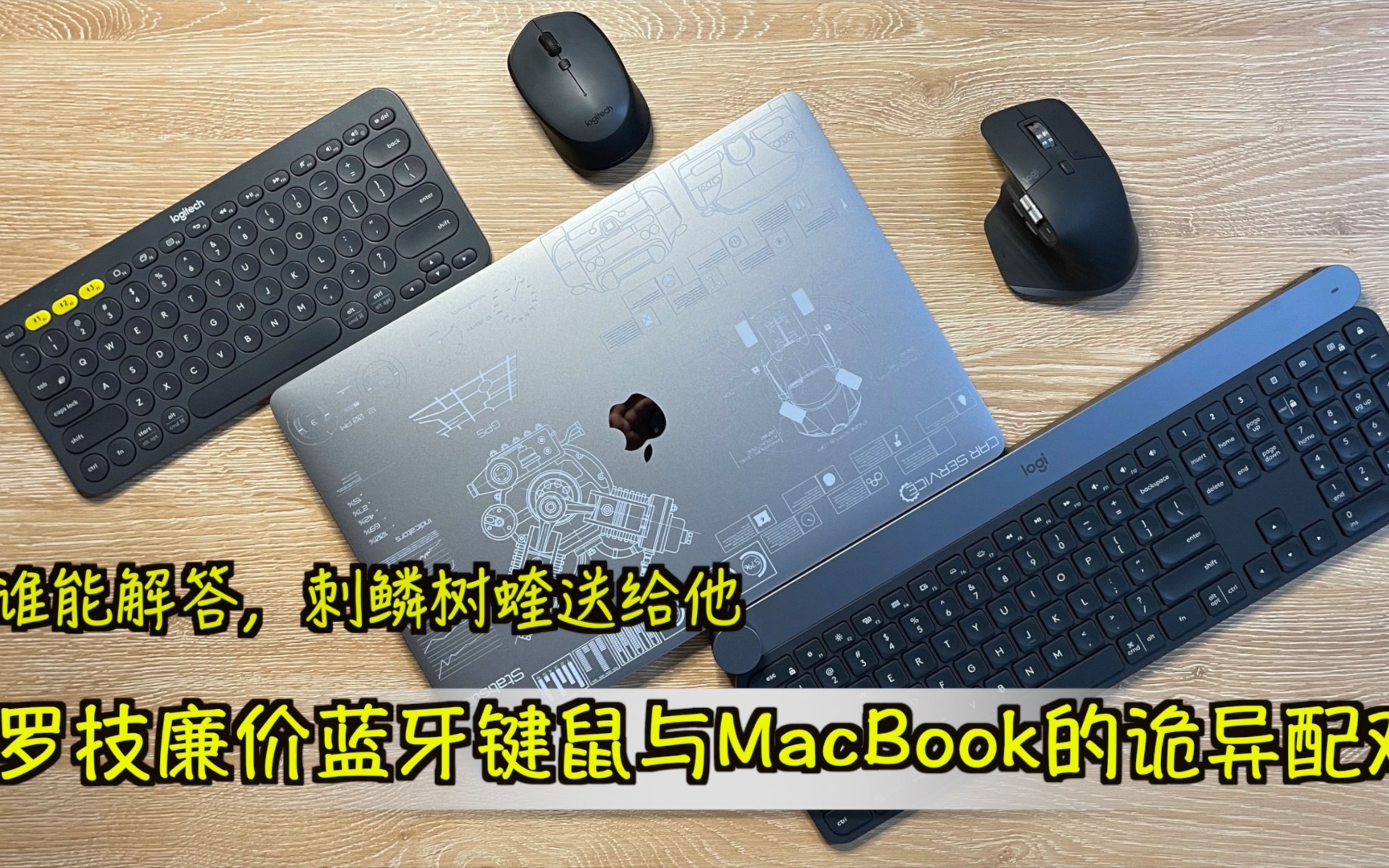 第40期:罗技廉价蓝牙键鼠与MacBook的诡异配对,谁能解答,刺鳞树蝰送...