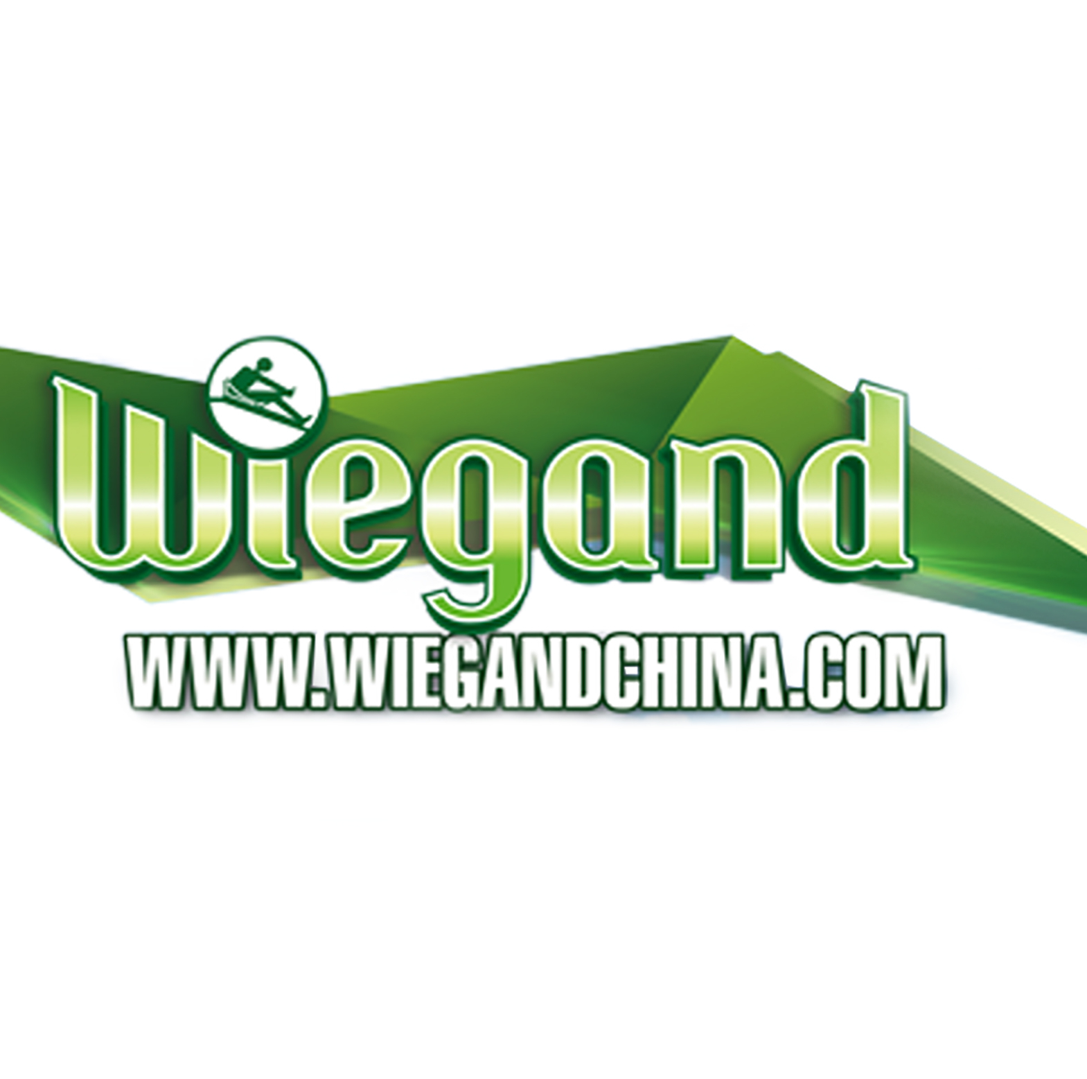 Wiegandchina 