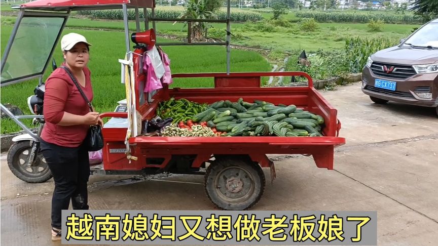 越南媳妇想当老板娘很简单,开个三轮电动车买卖点菜,马上实现!