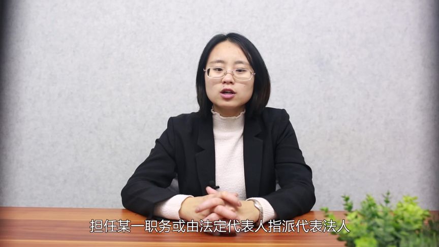 举例公司法人与法人代表有什么区别
