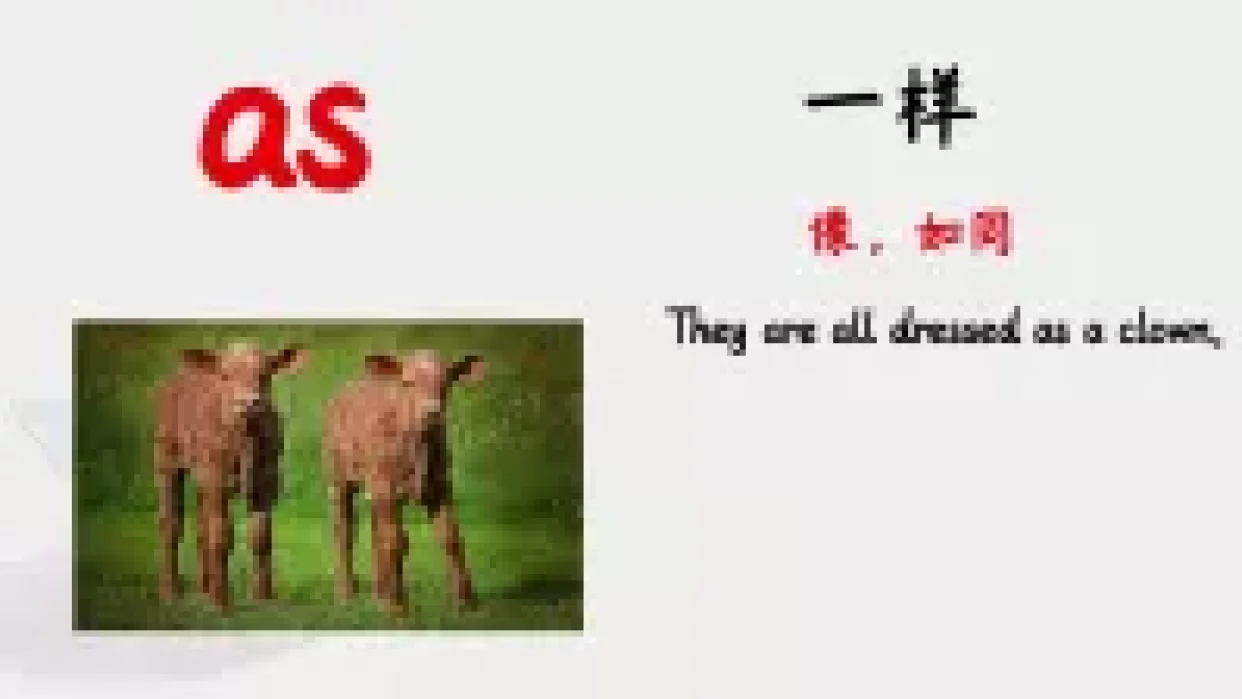 50个常用介词之as,每天一分钟,轻松学英语单词