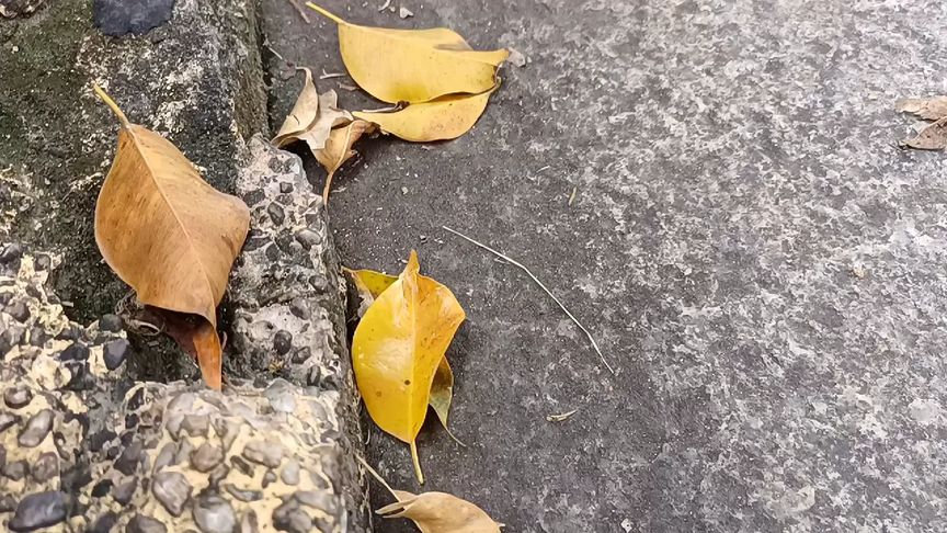 那些八月份的天气