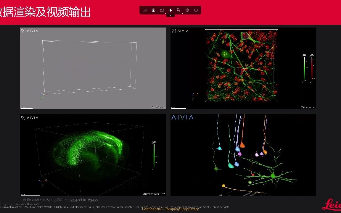 网络课堂 | 免费图像交互软件Aivia Community - 三维渲染,结果展示,...