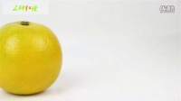 《正钟红橙》橙子产品宣传片ok