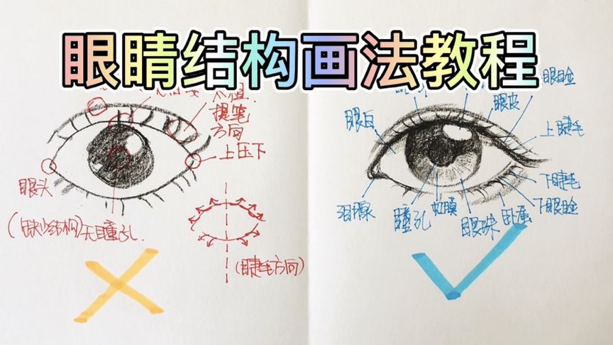 【糖水桃】手绘动漫速写人物眼睛结构画法教程